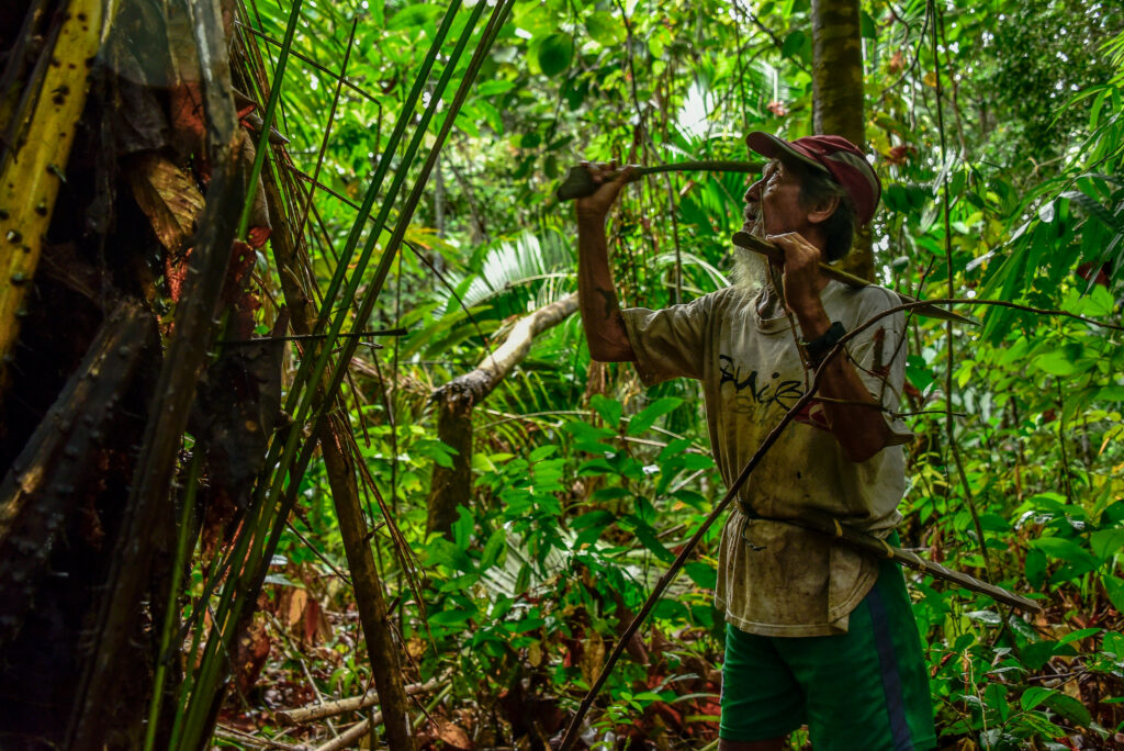 Indigenous peoples’ work in world’s protected areas is ignored and ...