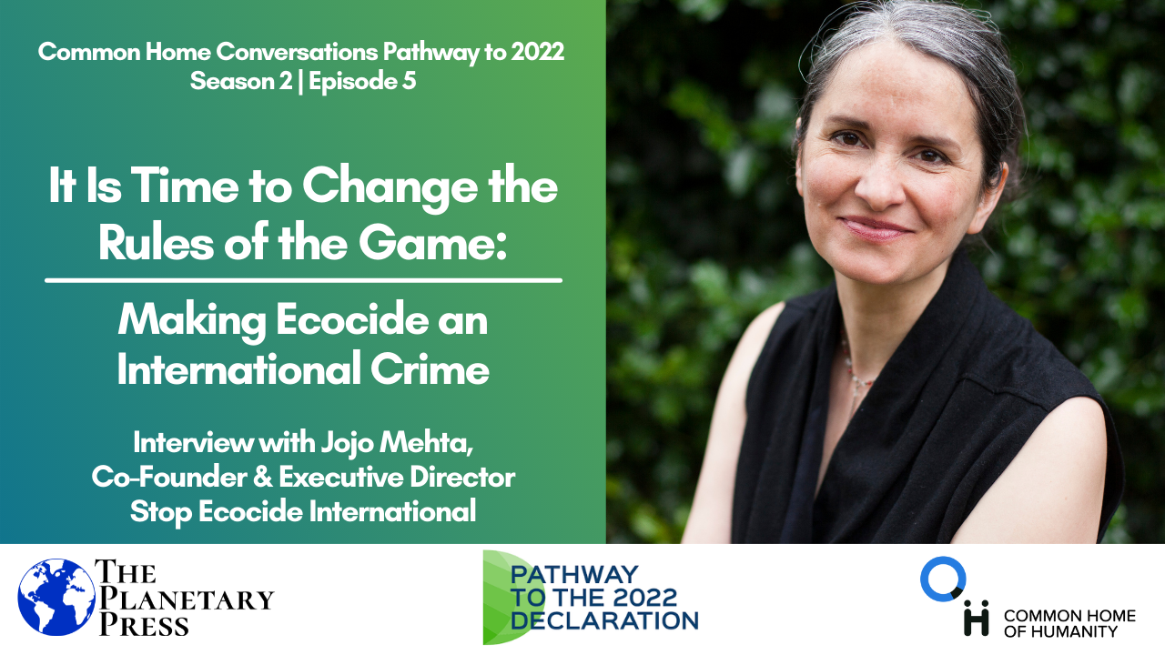 It Is Time to Change the Rules of the Game: Making Ecocide an ...