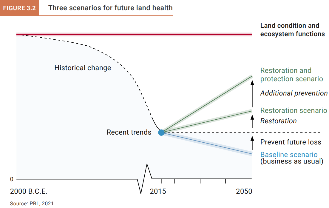 How to Stop Degraded Soil Damaging Food Security and the Climate - The ...