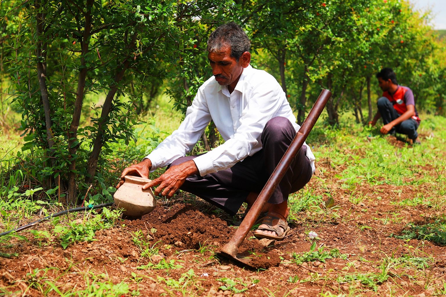 From Reviving Traditional Crops to Climate-Proofing Infrastructure: How ...