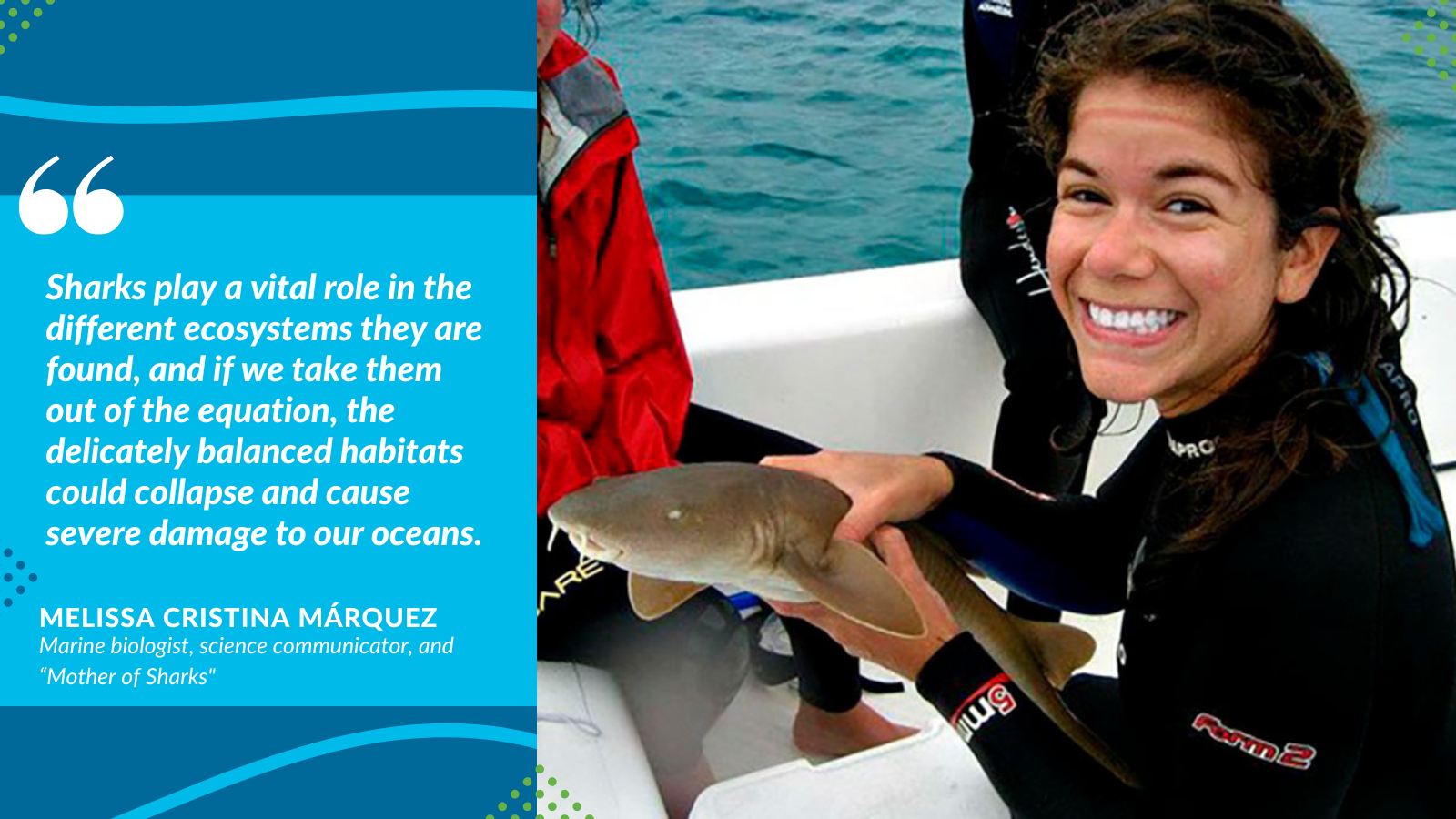 Mother of Sharks: The Adventures of Marine Biologist Melissa Cristina Márquez - The Planetary Press