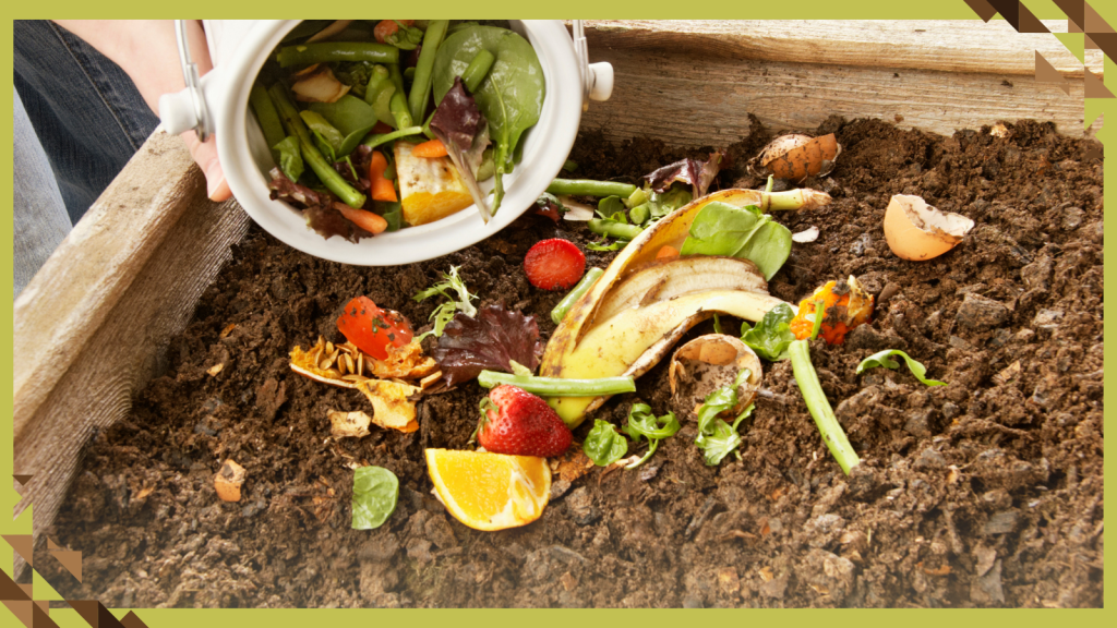 The ‘Climate Action Handbook’ is a Guide to Protecting the Climate - The Planetary Press