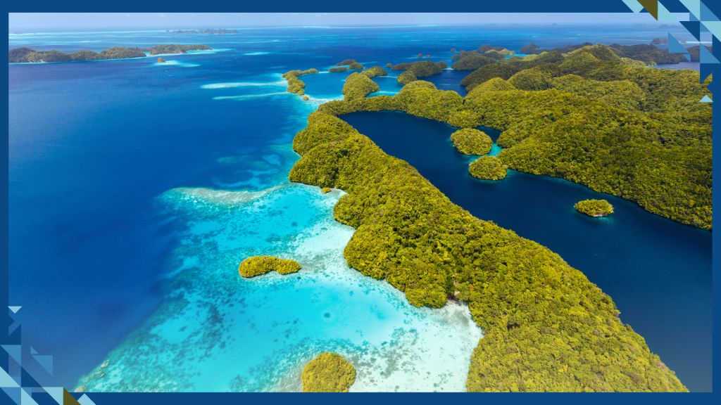 Palau Becomes First Nation to Ratify High Seas Treaty to Safeguard ...