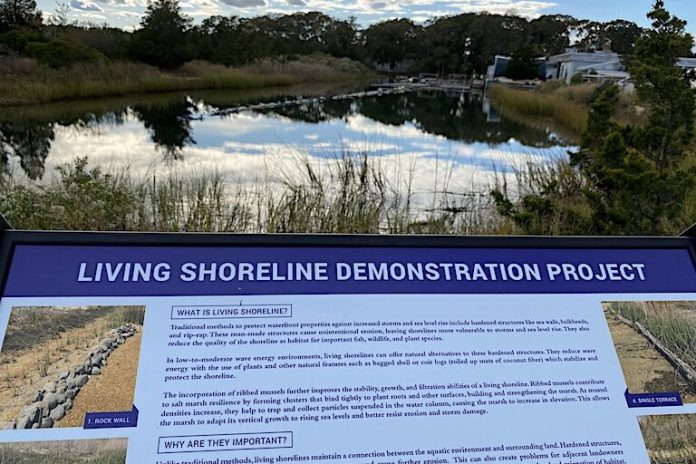 Living Shorelines: An Innovative, Natural Approach to Rising Seas - The ...