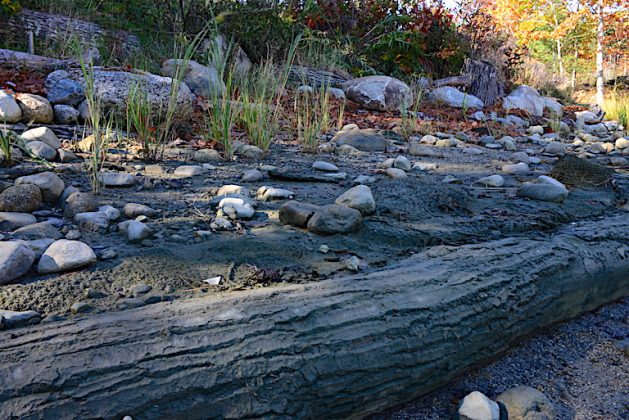 Living Shorelines: An Innovative, Natural Approach to Rising Seas - The ...